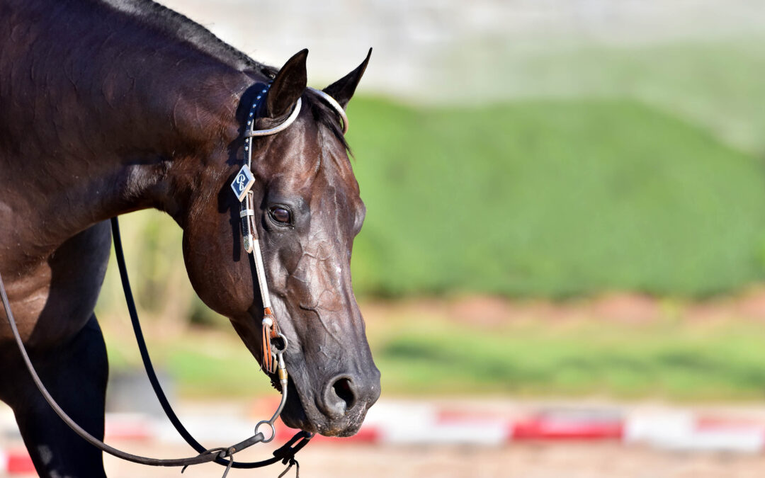 Index of /site/wp-content/uploads/2021/02/